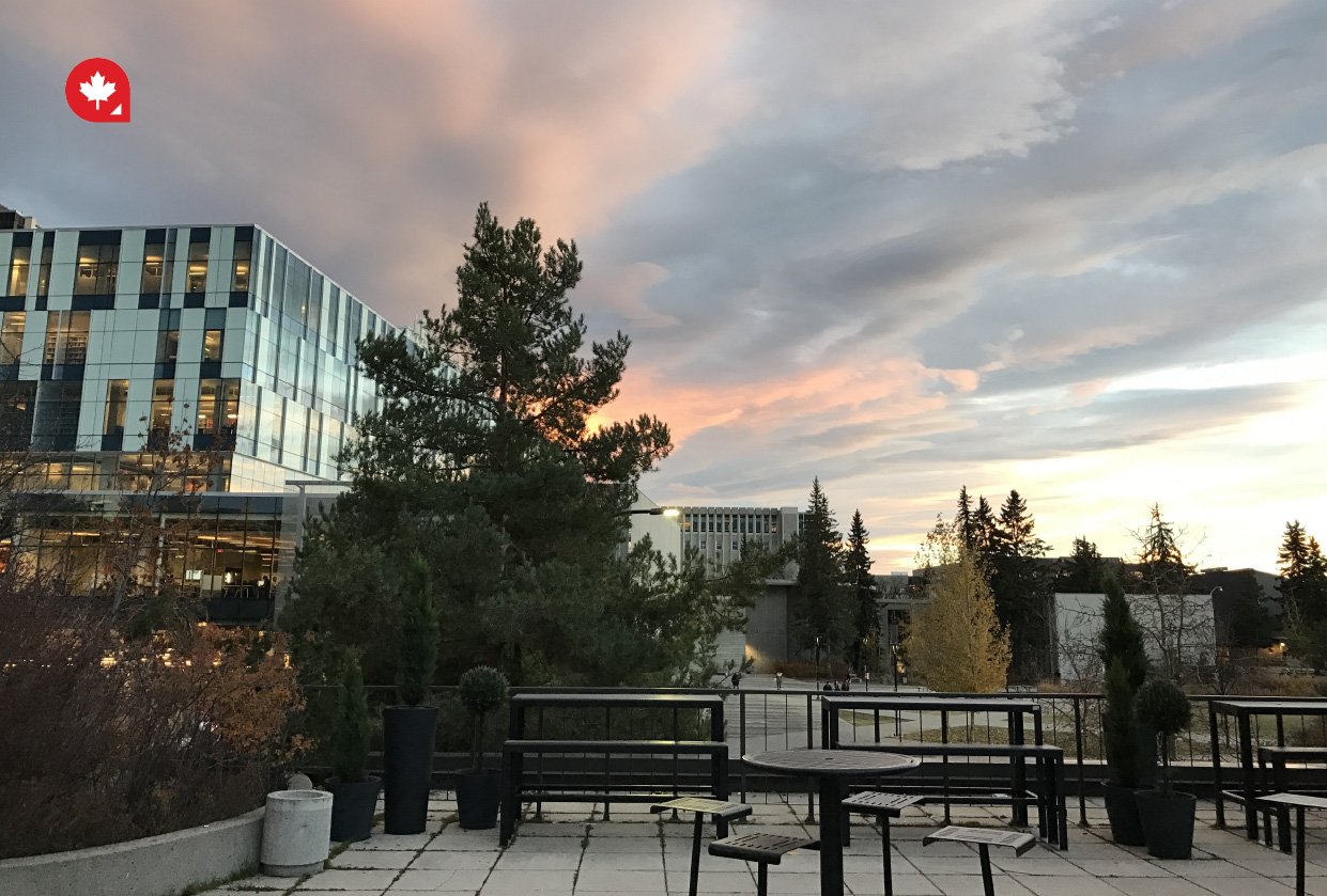 Top 3 International Student Exchange Programs in Canada | Canadianvisa.org